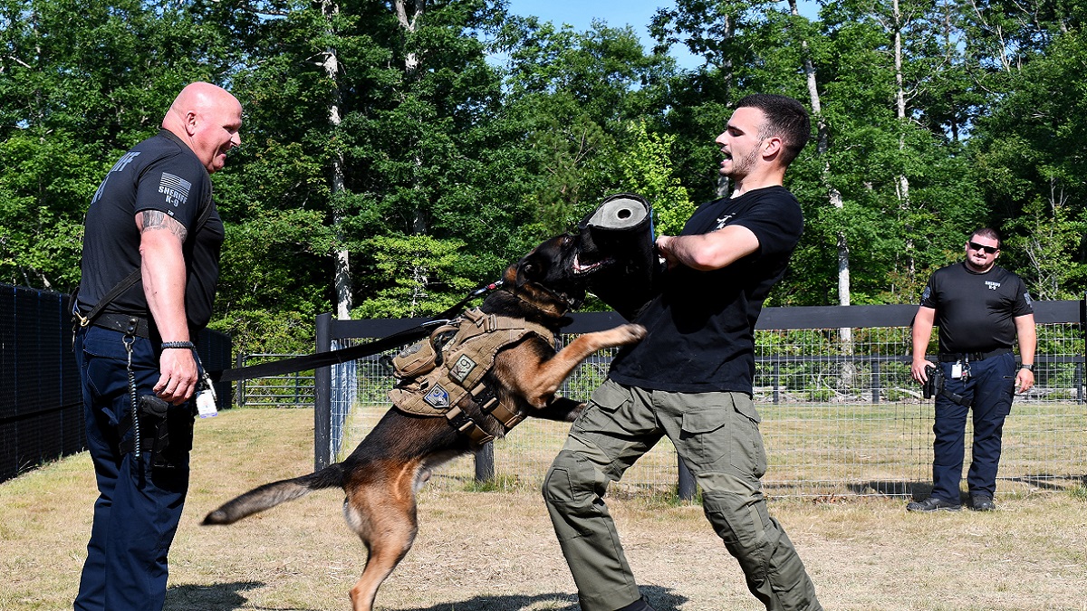 St. Mary’s County Deputies Complete K-9 Behavior and Decoy Techniques Course - The Southern ...