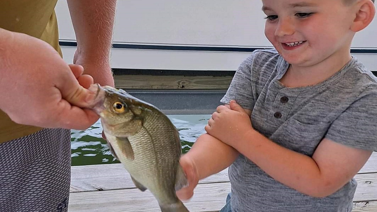 Cobia Season Underway: Early Catches and Sightings Hint at Promising ...