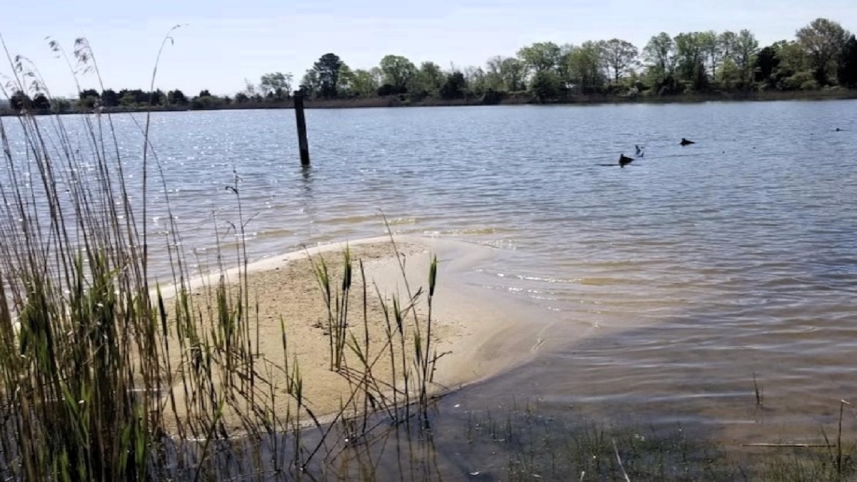 Eagle Harbor activists hope federal aid will help boost environmental ...