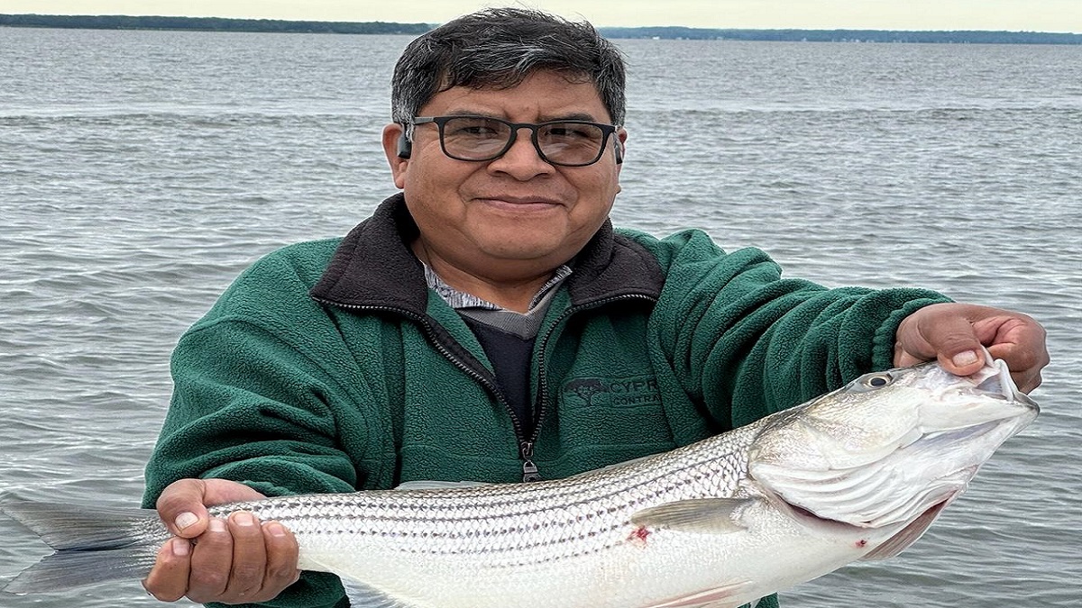 Chesapeake Bay Sees Bountiful Rockfish Start to Season - The Southern ...