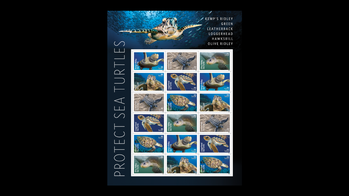 USPS Launches Sea Turtle Stamps to Promote Conservation - The Southern ...