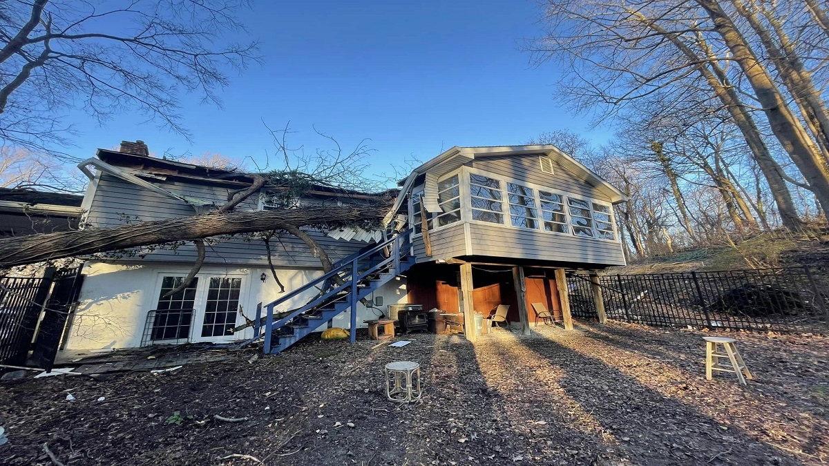Firefighters Rescue Trapped Resident and Pet After Tree Crushes Home ...